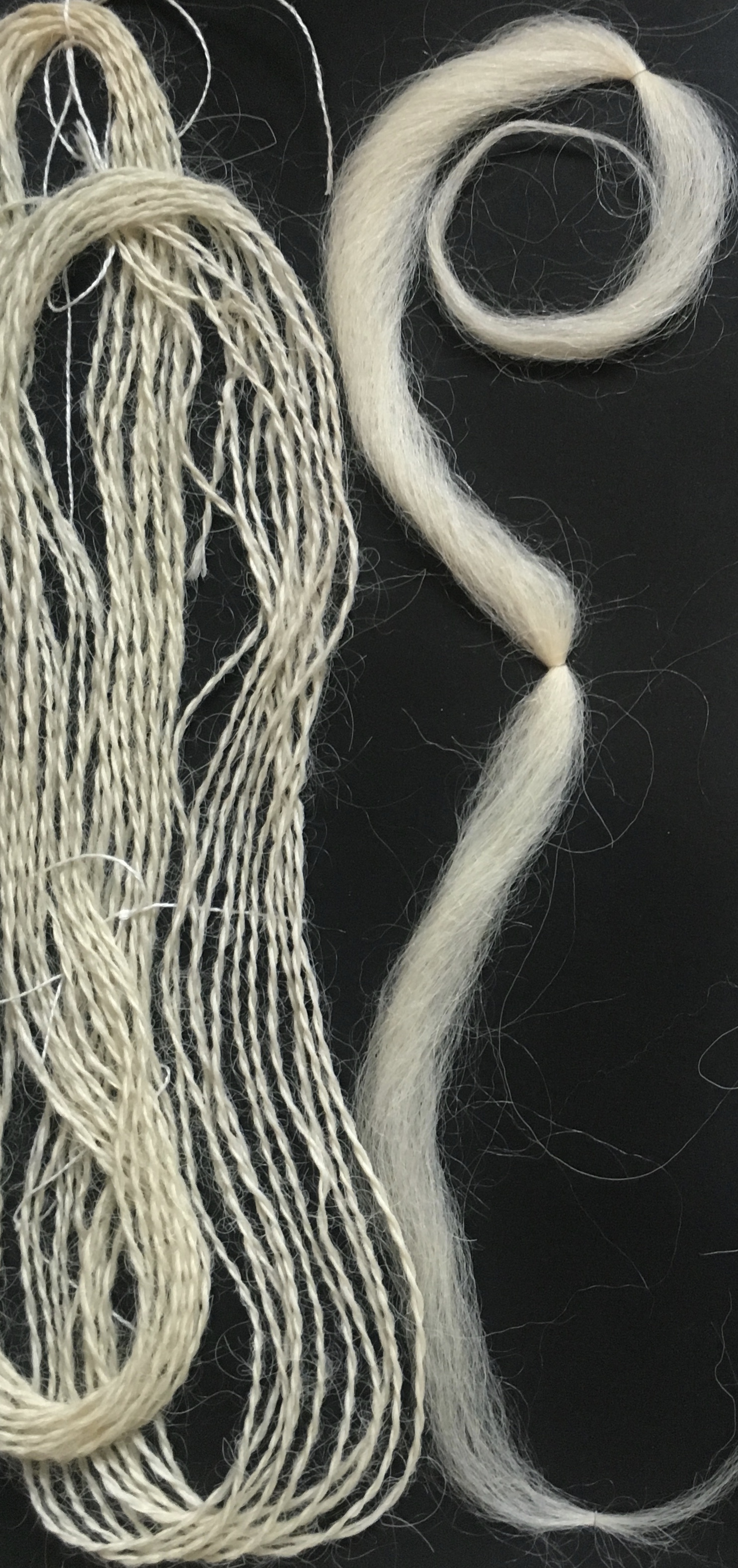 Spinning (very) longwools for lace – An Exercise in Imperfection